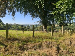 The Lowlands of Scotland – A scottish World