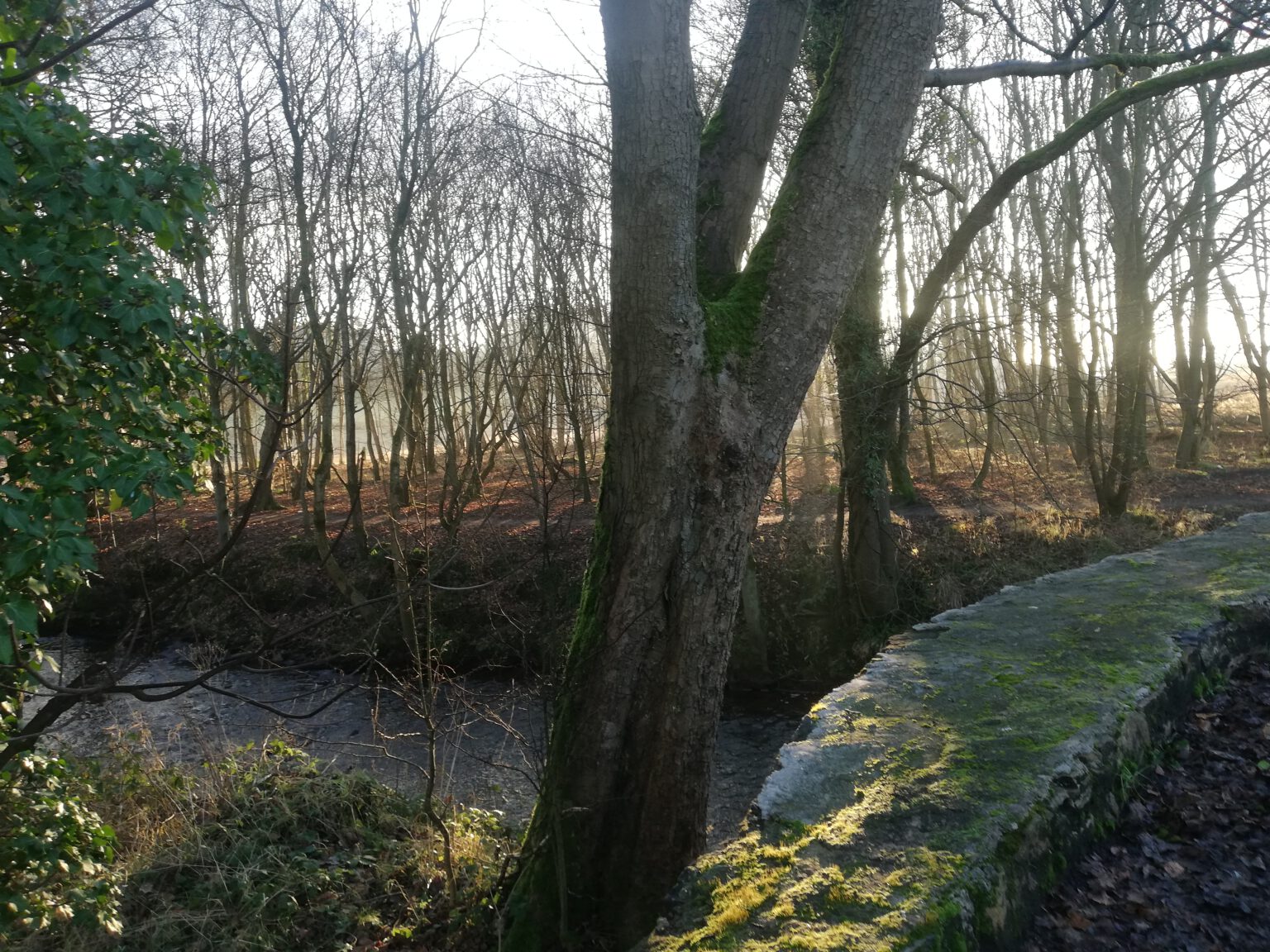 The Lowlands of Scotland – A scottish World