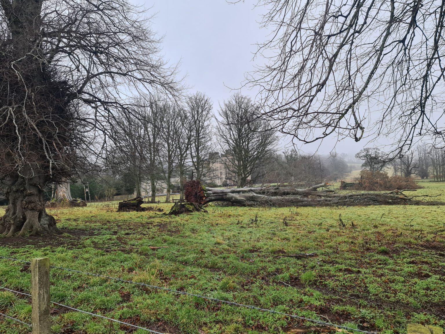 Duns Castle – A scottish World