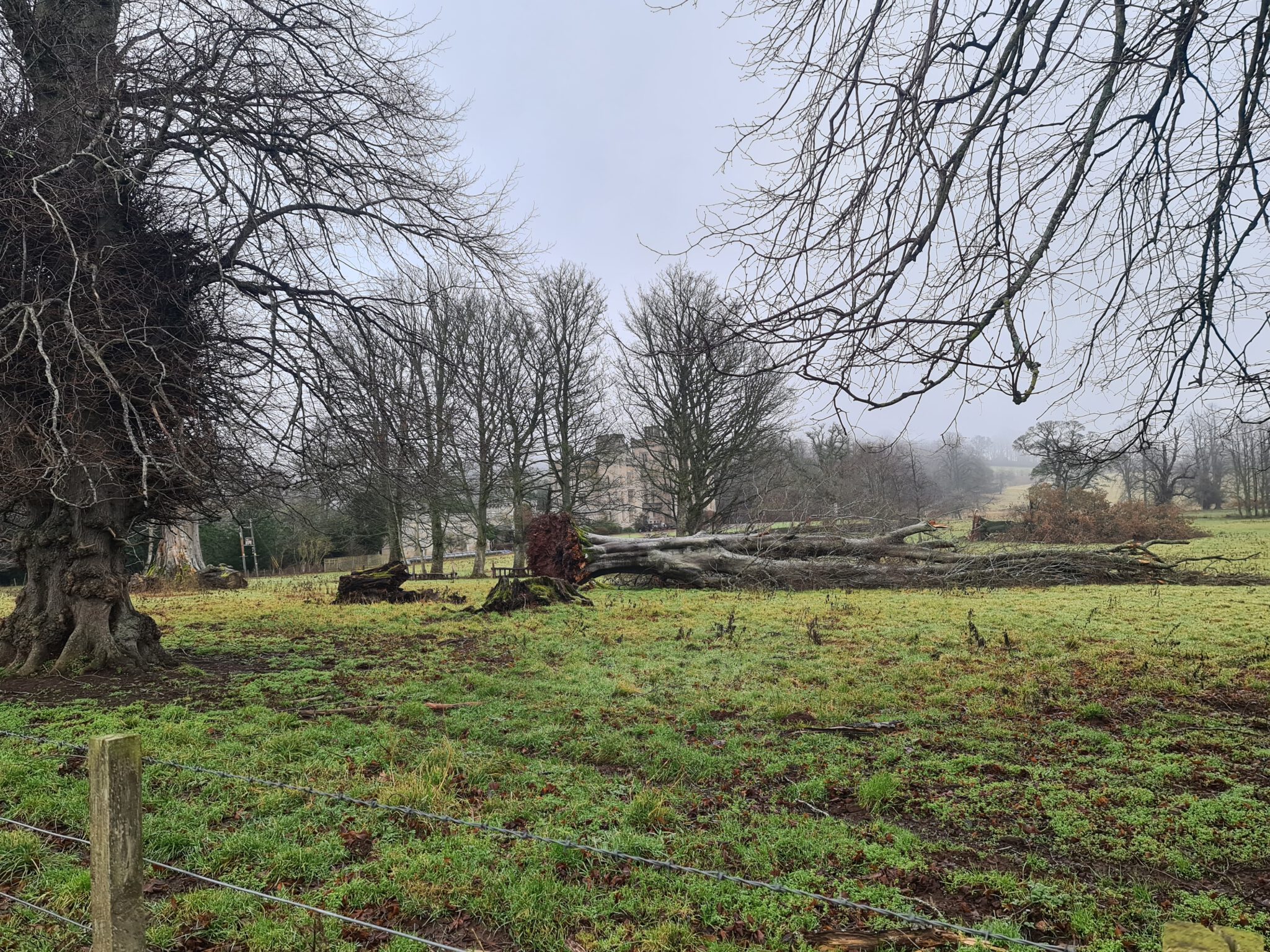 Duns Castle – A scottish World