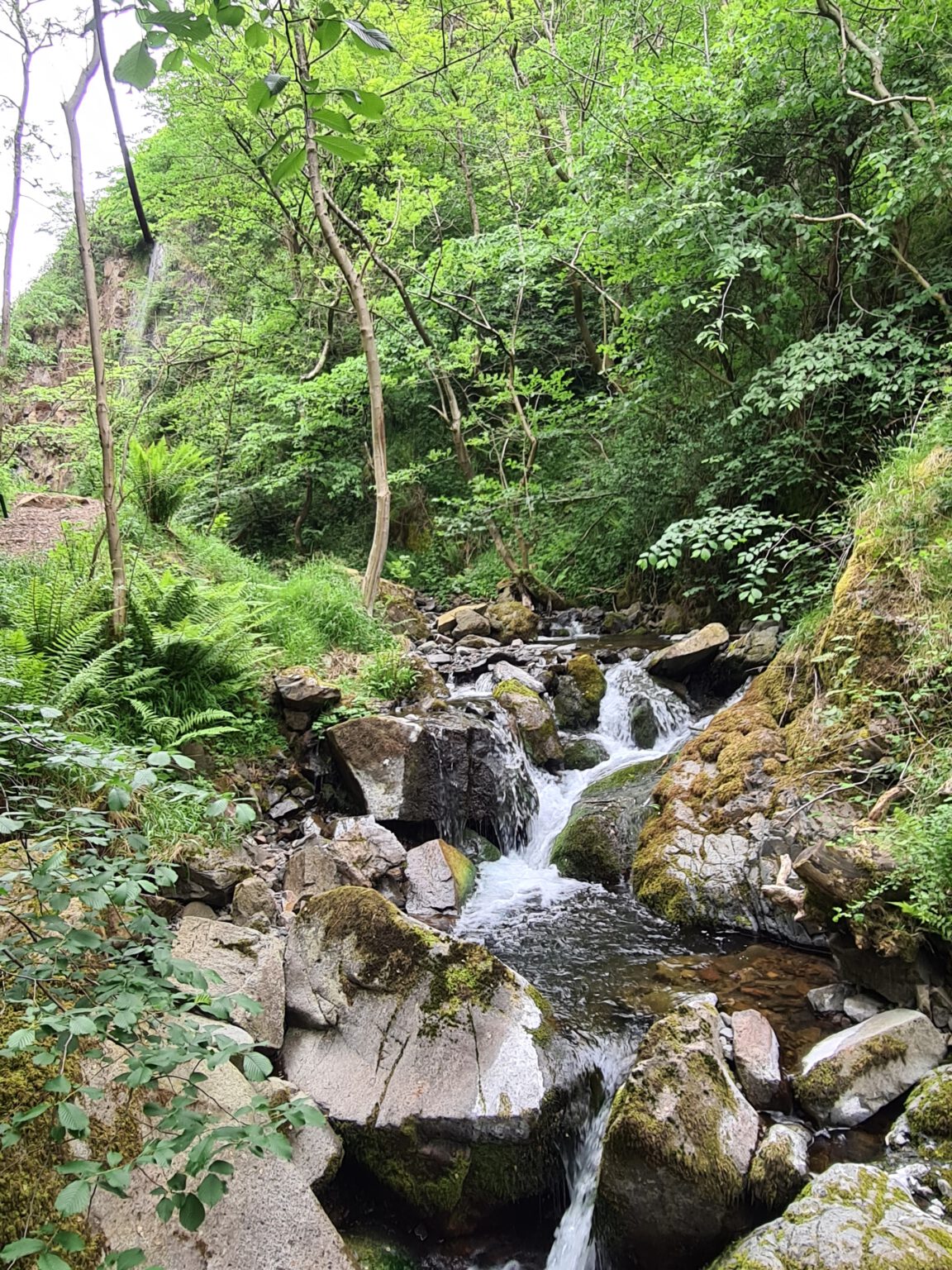 Ben Cleuch circular – A scottish World