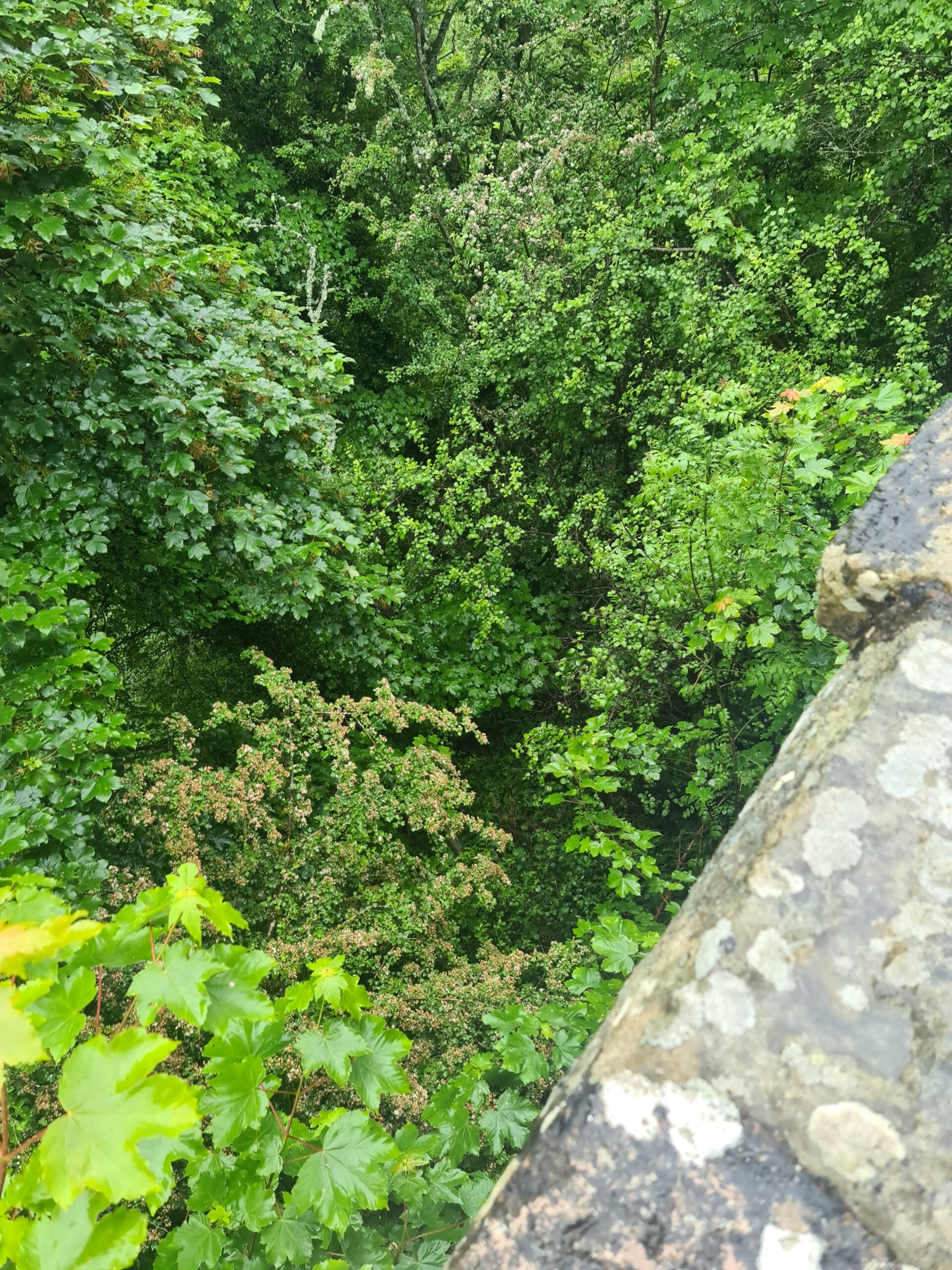 Roslin Castle – A scottish World
