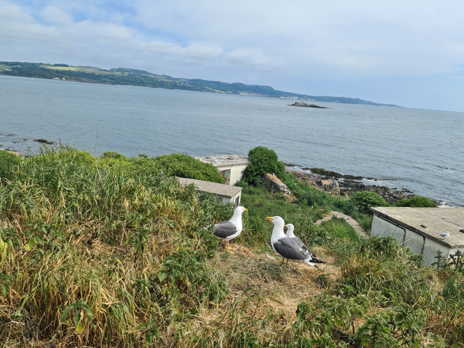 Inchcolm Abbey & Island – A scottish World