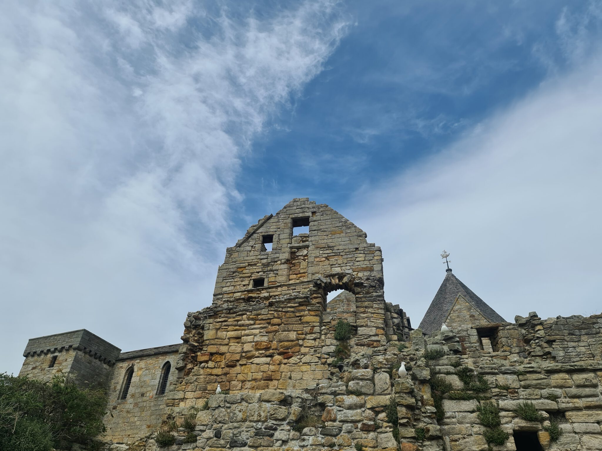 Inchcolm Abbey & Island – A scottish World