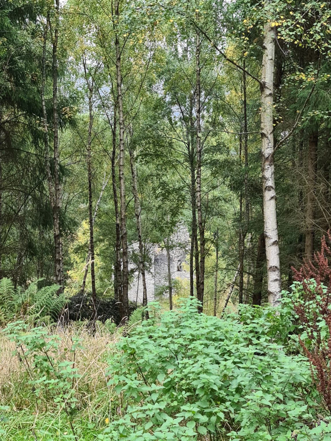 Cardrona Tower – A scottish World