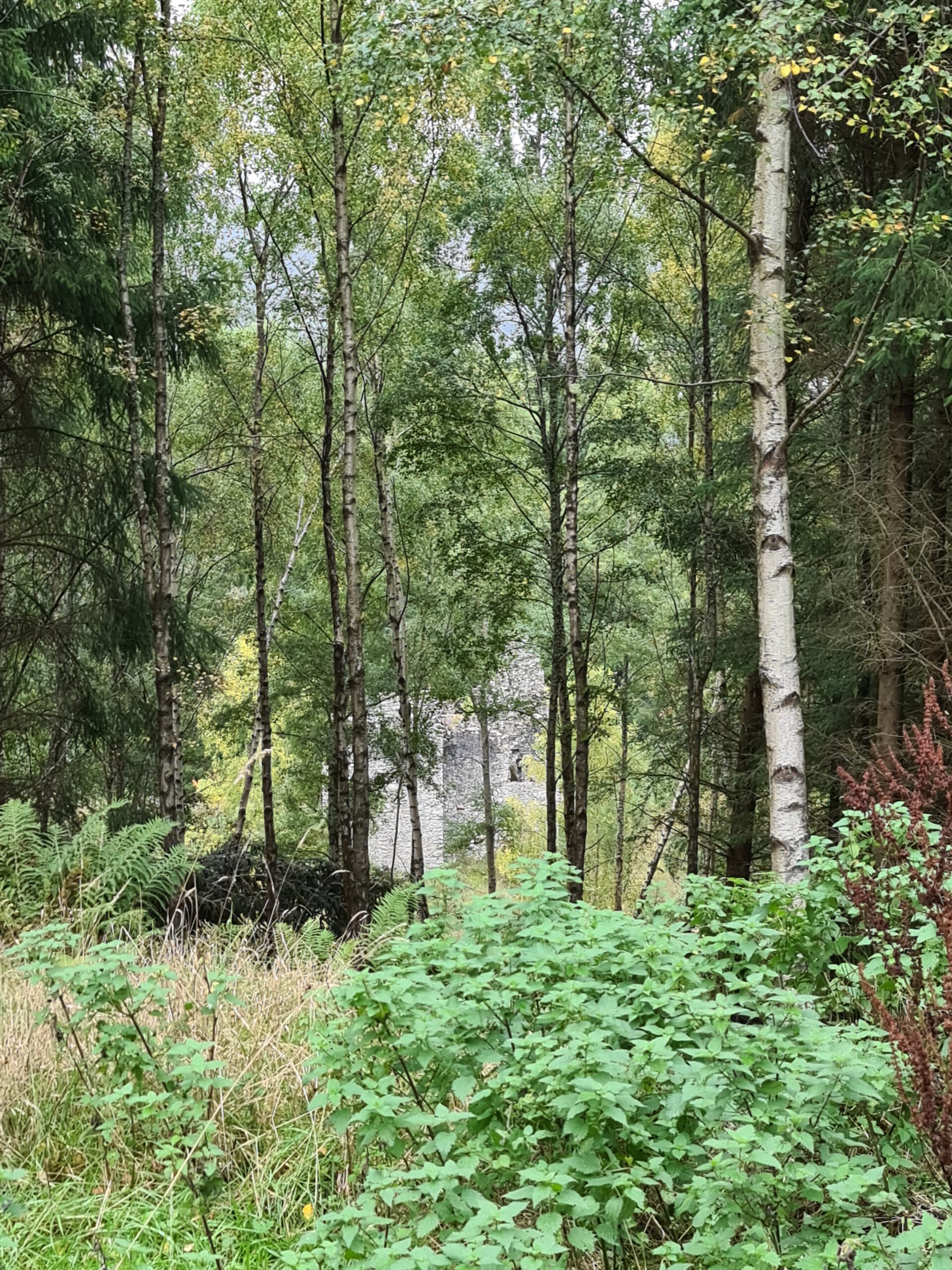 Cardrona Tower – A scottish World