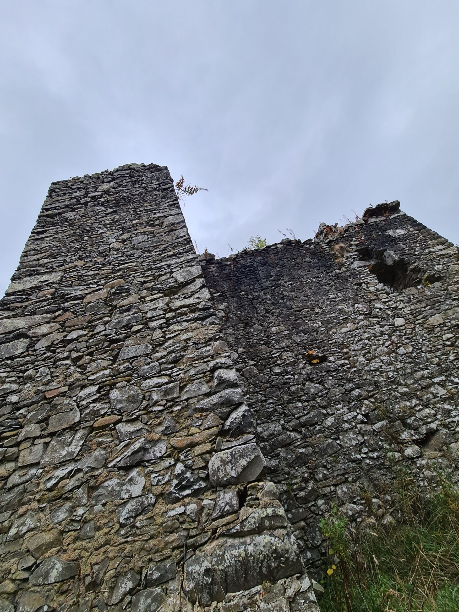 Cardrona Tower – A scottish World