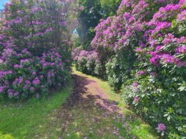 Hopetoun House – The ancestral home of the Hope Family – A scottish World
