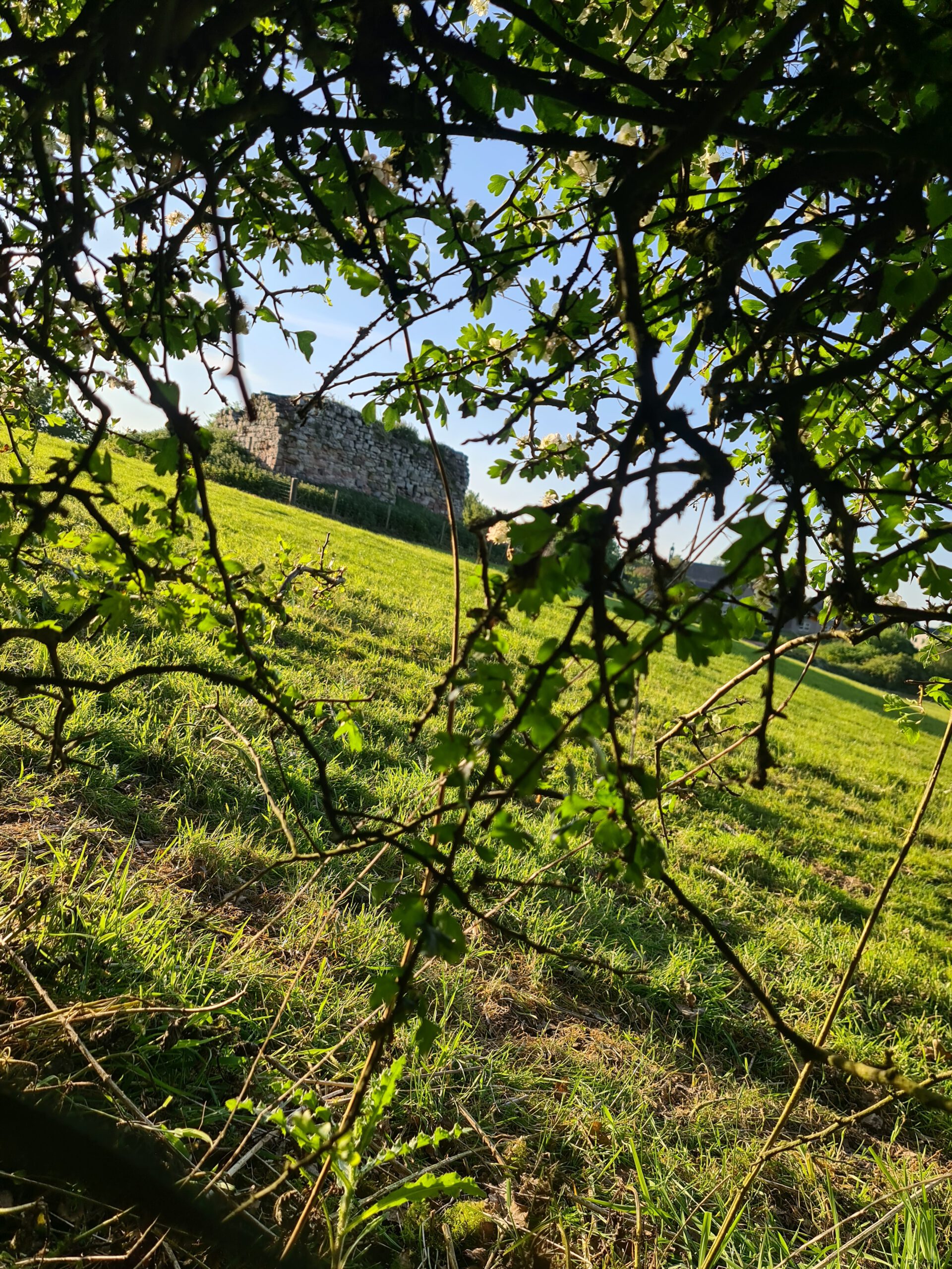 Wallace’s Tower, Roxburgh – A scottish World