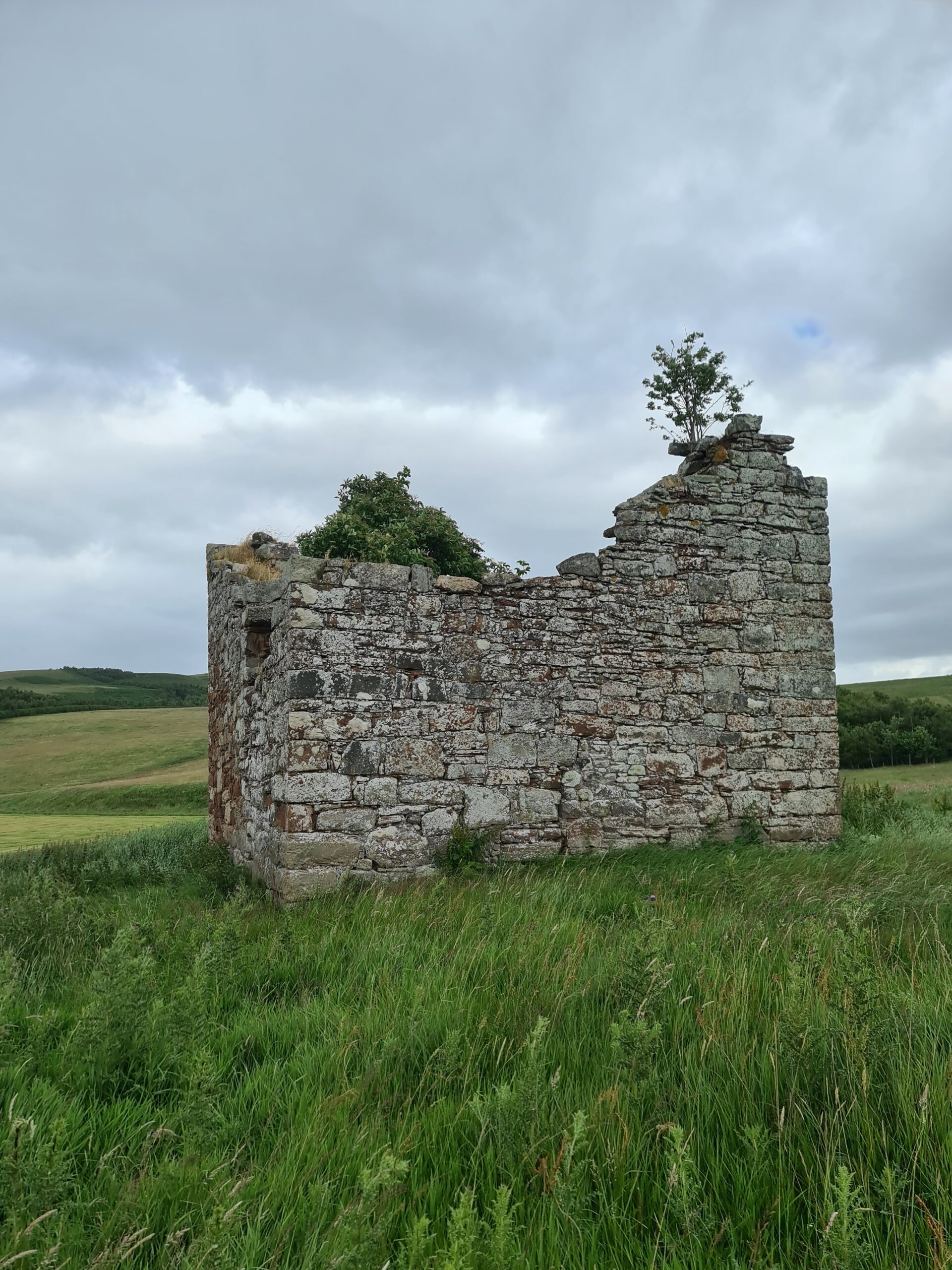 Fulton Tower – A scottish World